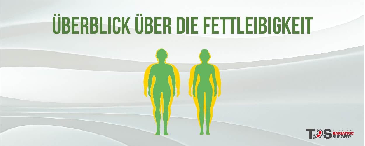 ÜBERBLICK ÜBER DIE FETTLEIBIGKEIT - Turkish Bariatric Surgery